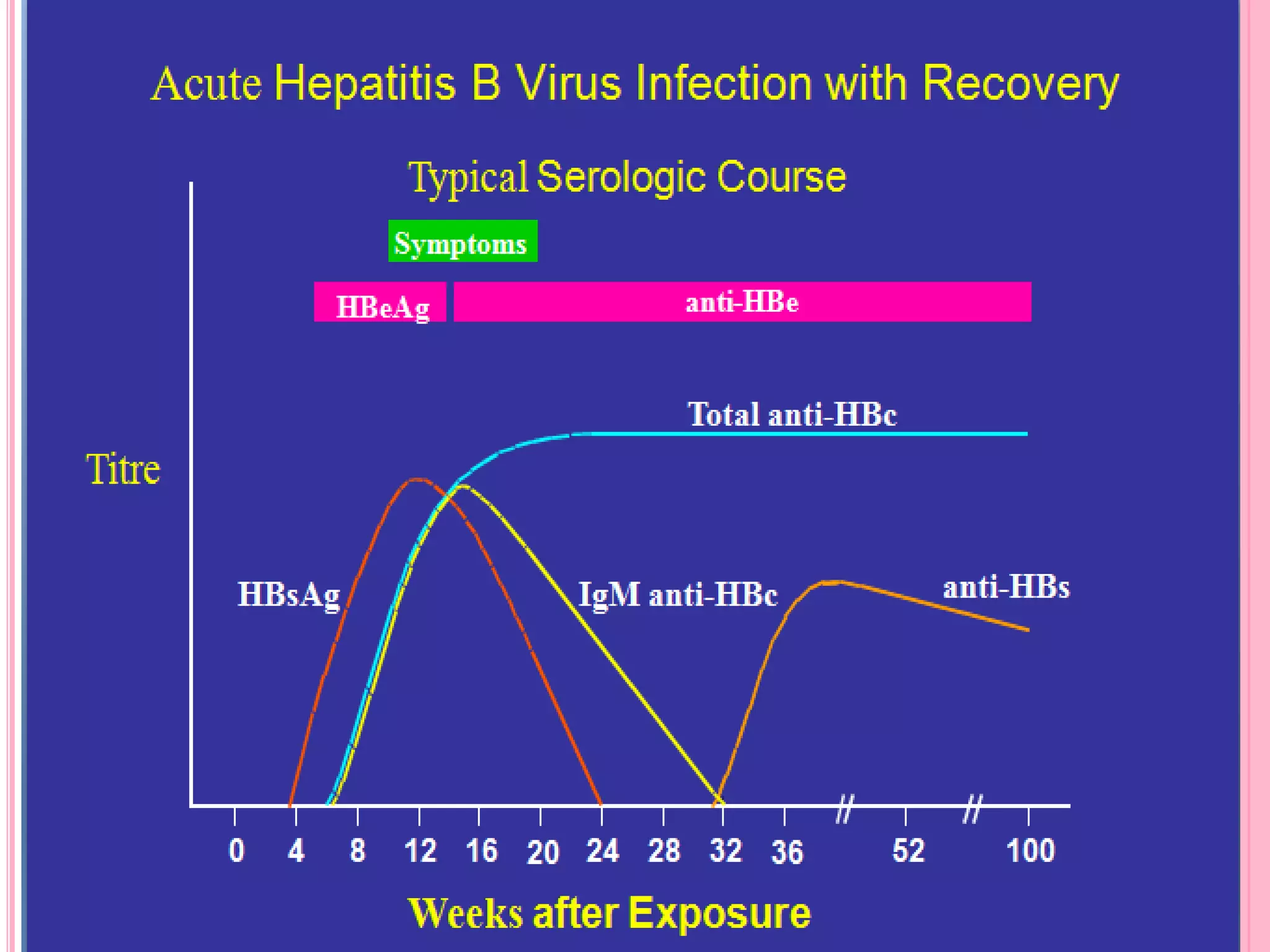 Hepatitis B | PPTX