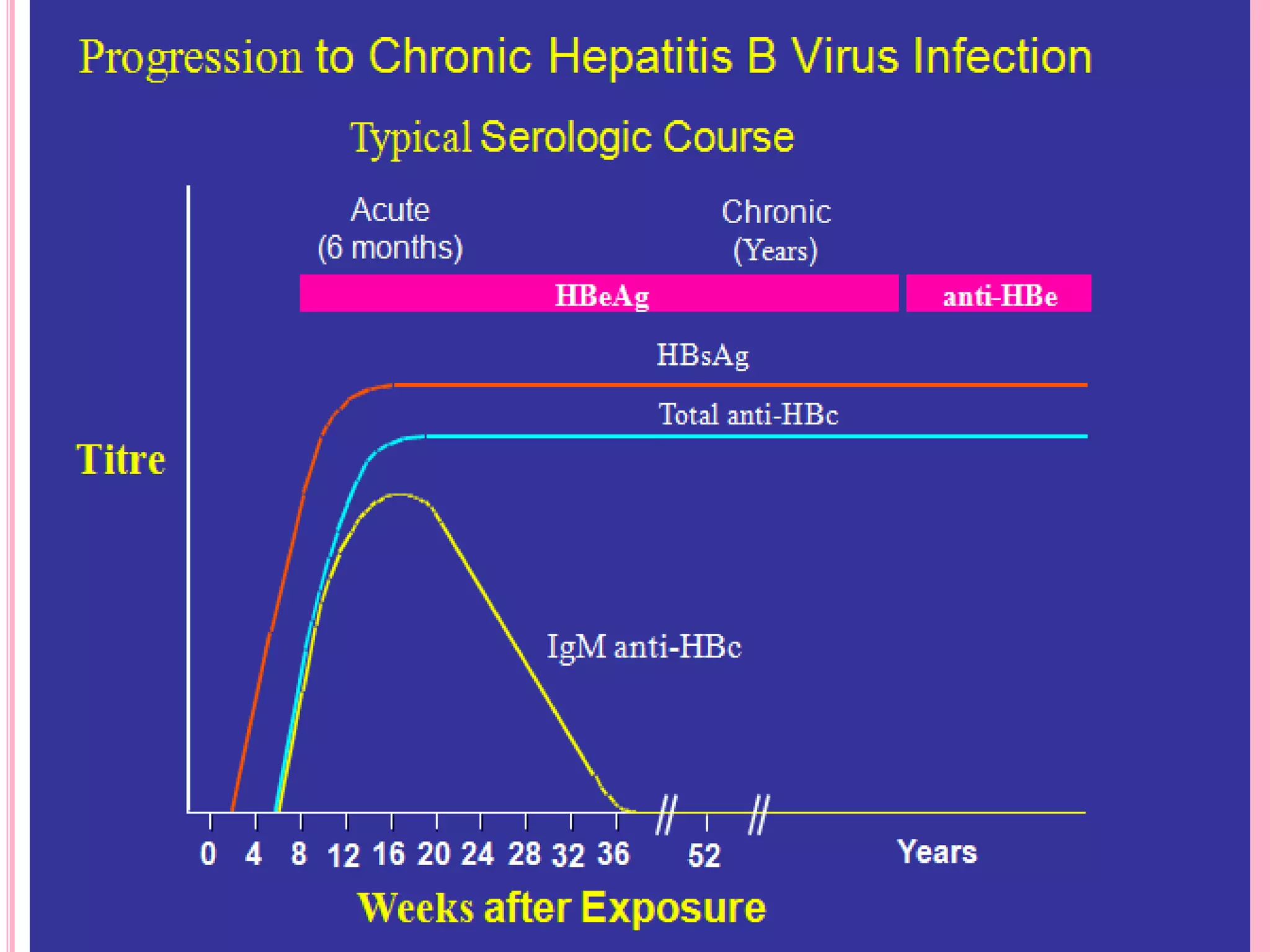 Hepatitis B | PPTX