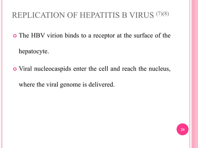 Hepatitis B | PPTX