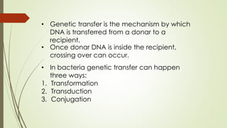 Gene Transfer | PPTX