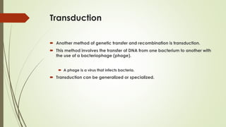 Gene Transfer | PPTX