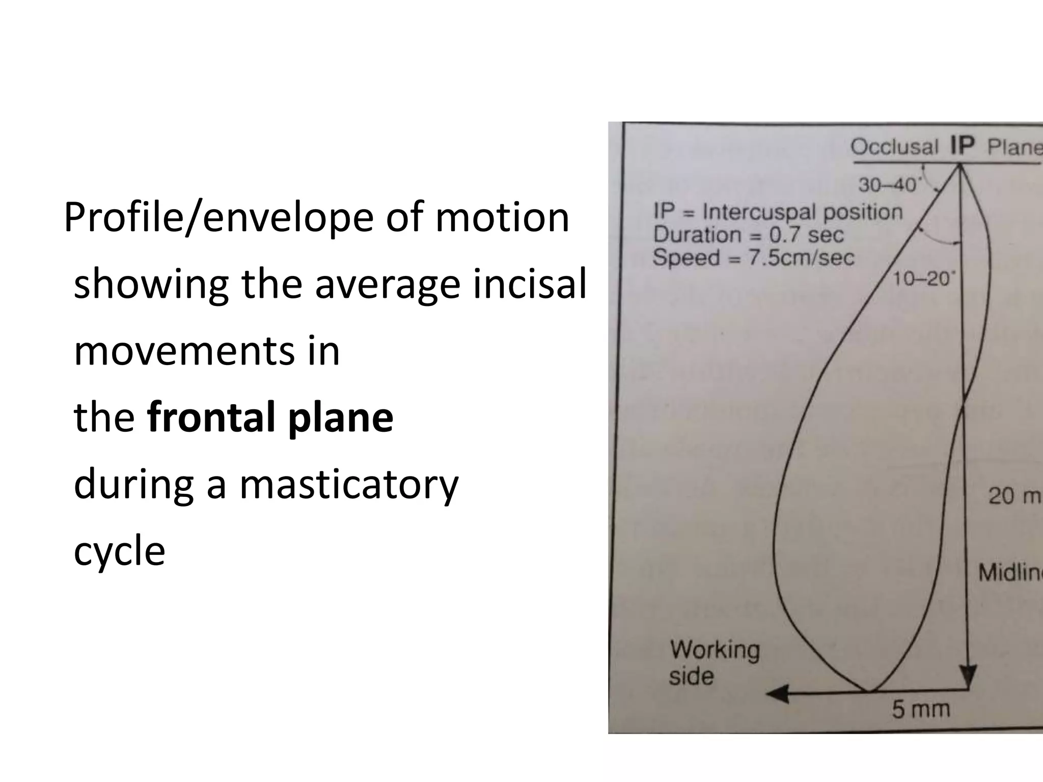 Mastication. Chewing Cycles & Oral Reflexes - Oral Physiology | PPTX