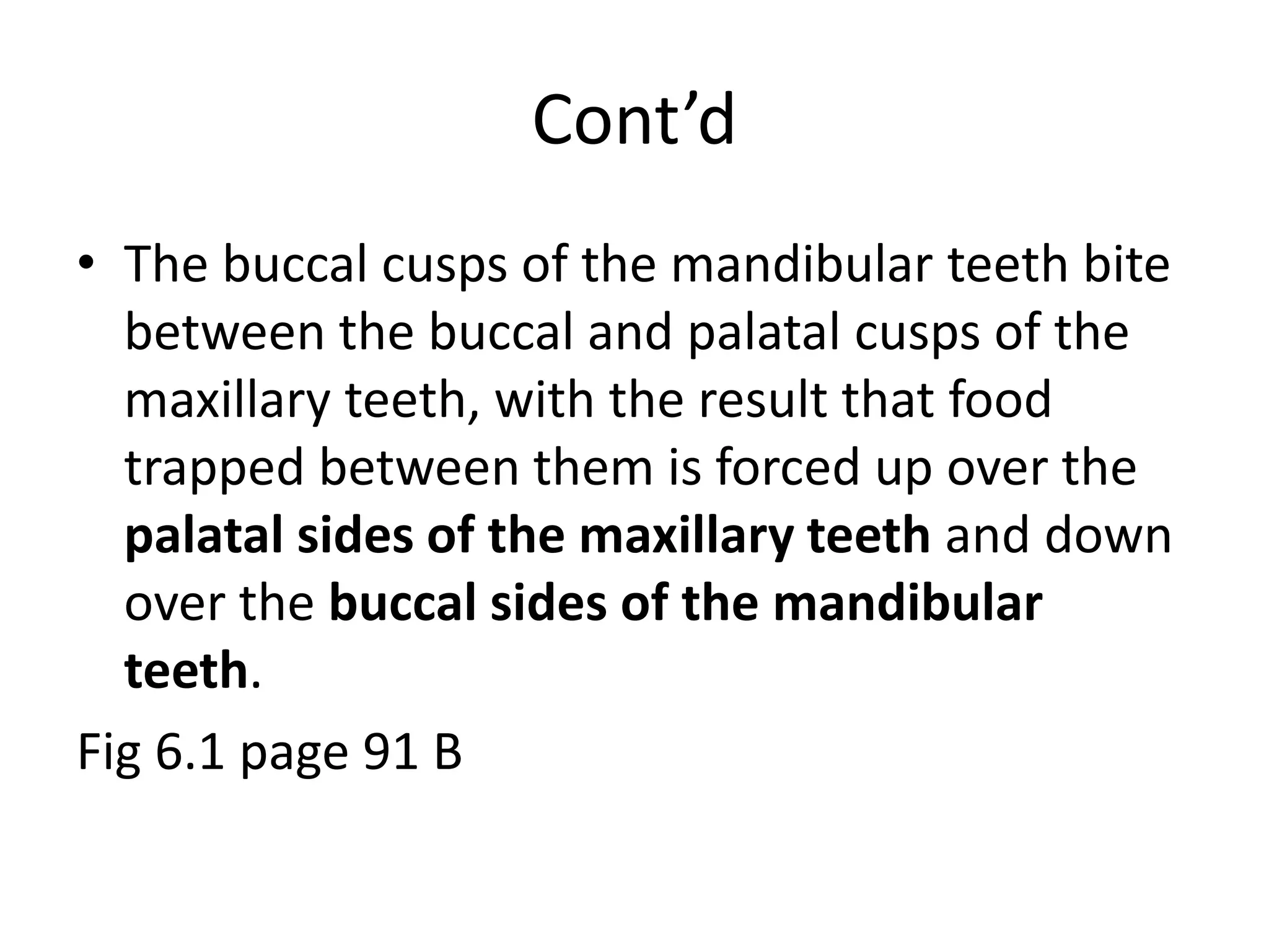 Mastication. Chewing Cycles & Oral Reflexes - Oral Physiology | PPTX