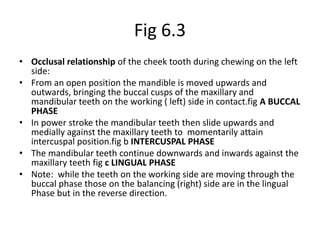 Mastication. Chewing Cycles & Oral Reflexes - Oral Physiology | PPTX