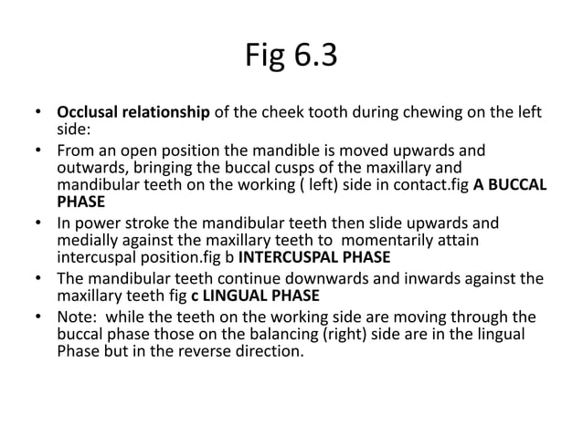 Mastication. Chewing Cycles & Oral Reflexes - Oral Physiology | PPTX