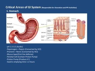 GI System, Ulceration and Role of PPI | PPTX