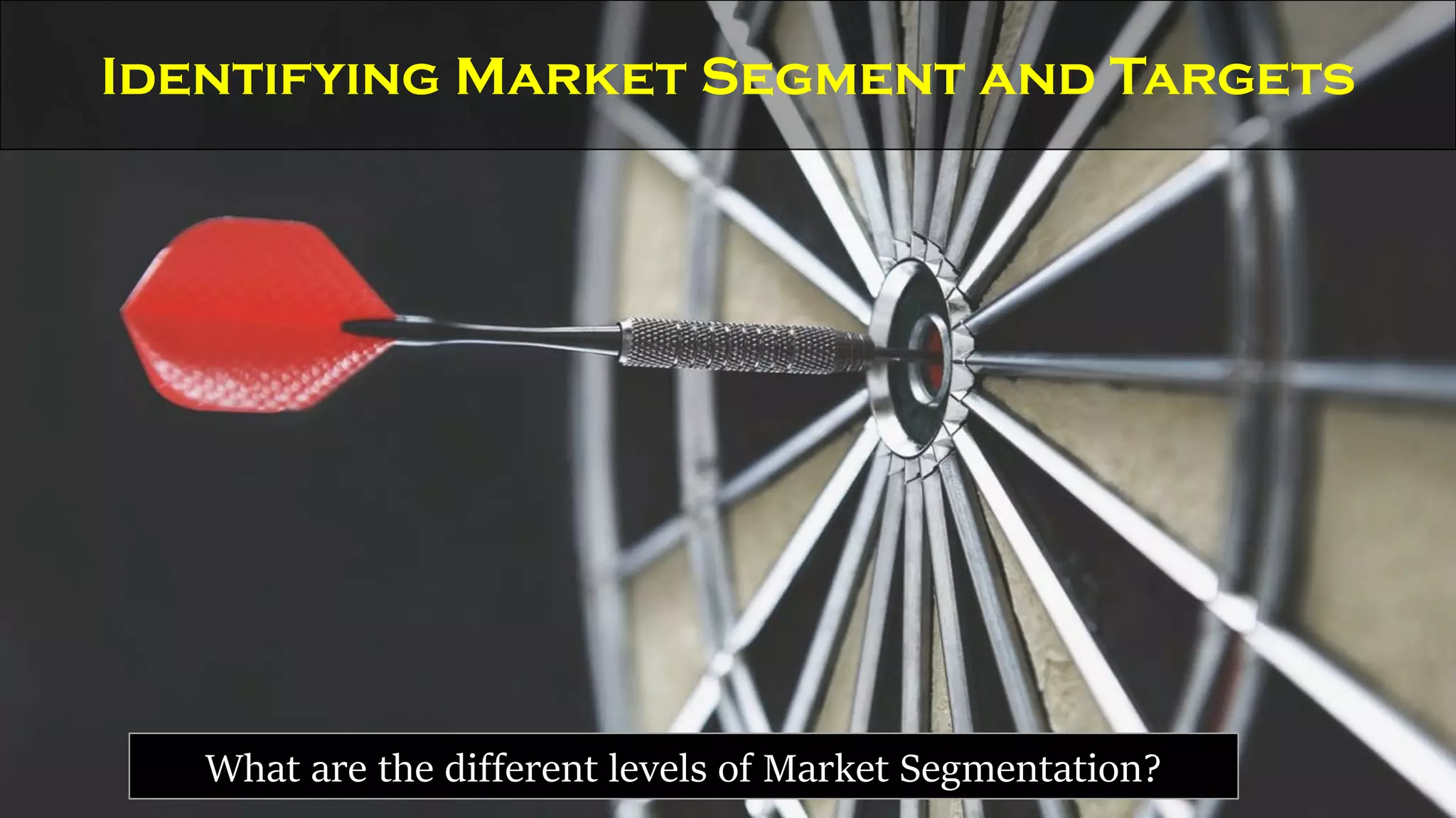 Market Segmentation levels | PPT
