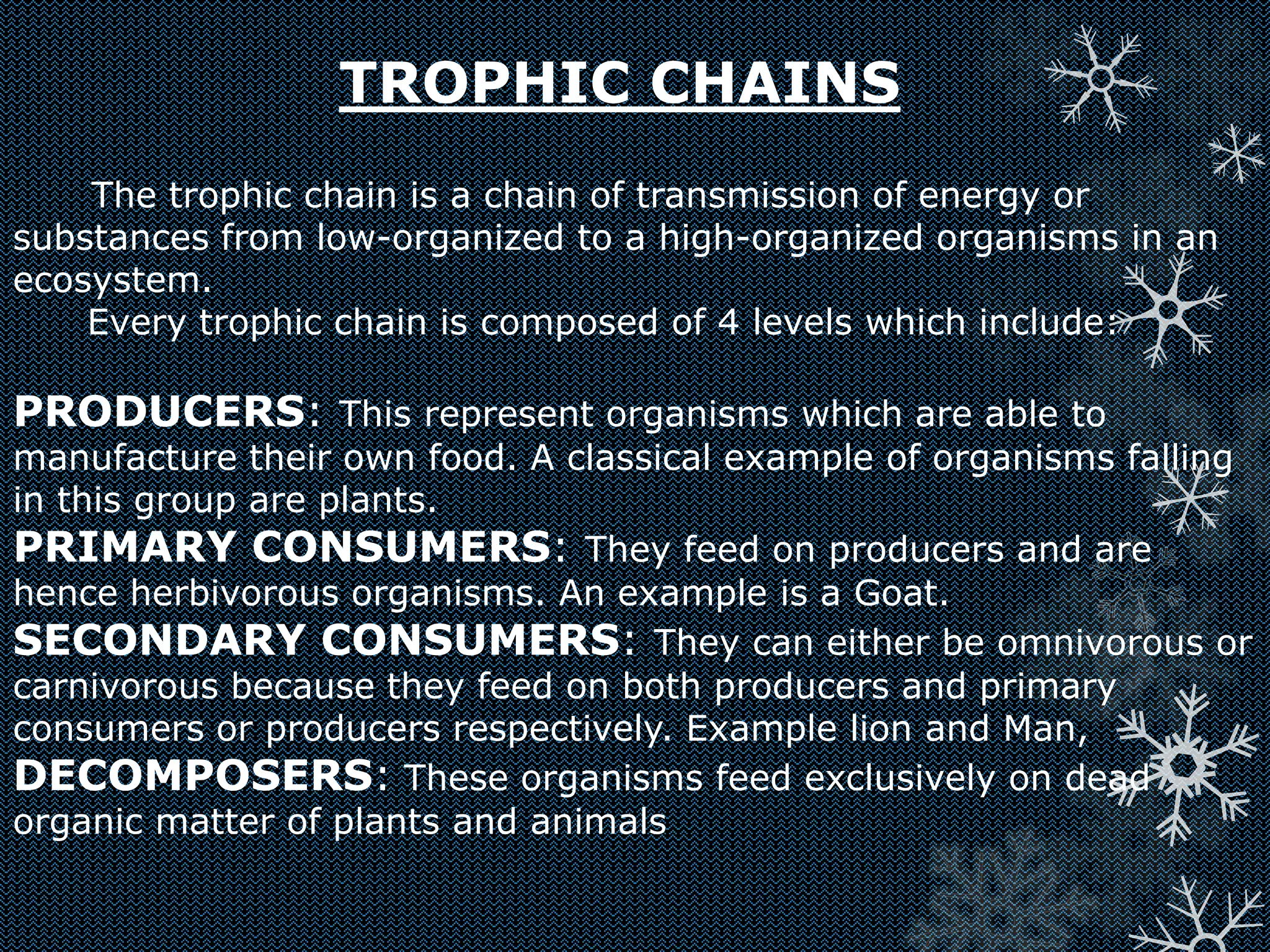 Ecological concepts | PPTX
