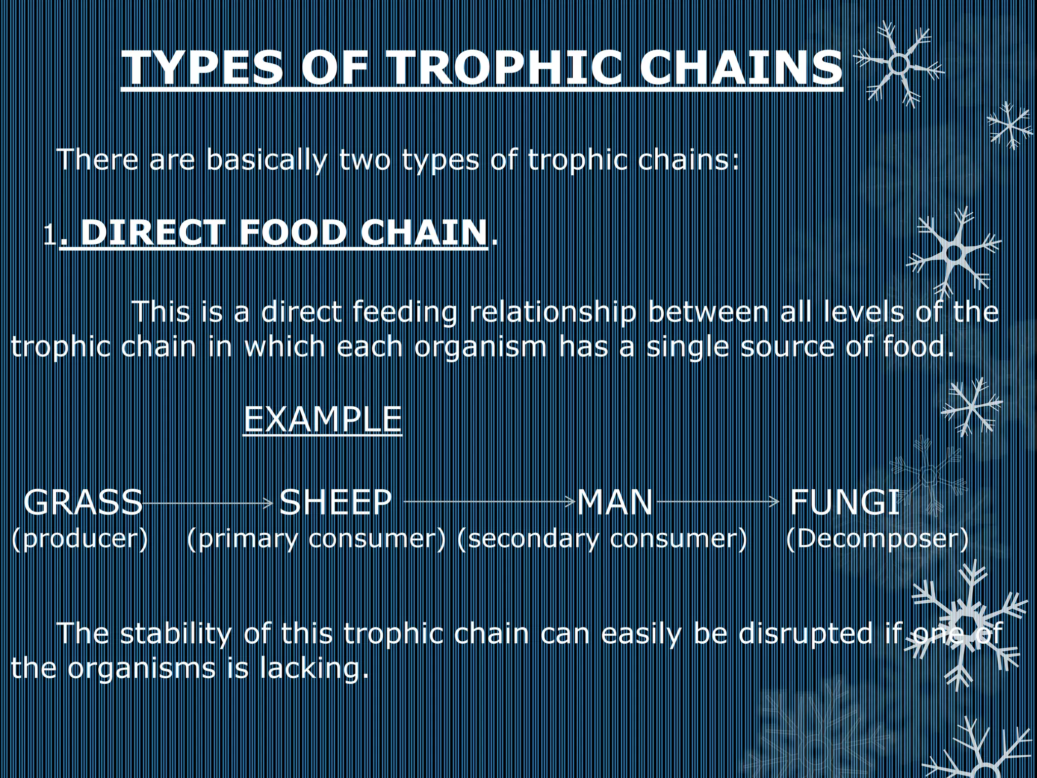 Ecological concepts | PPTX