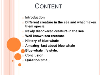 Sea creature | PPT