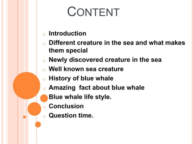 Sea creature | PPT