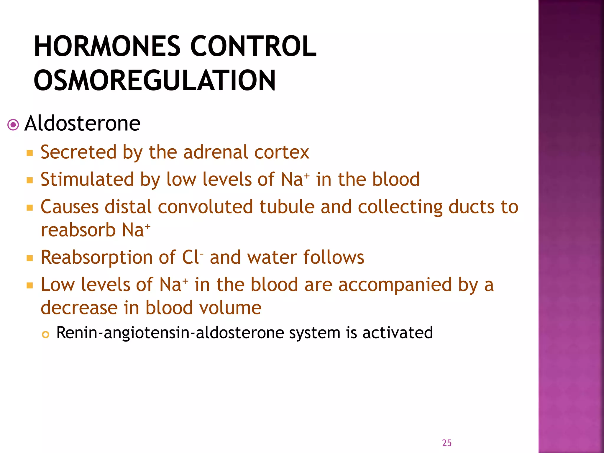 role of kidney in osmoregulation | PPTX