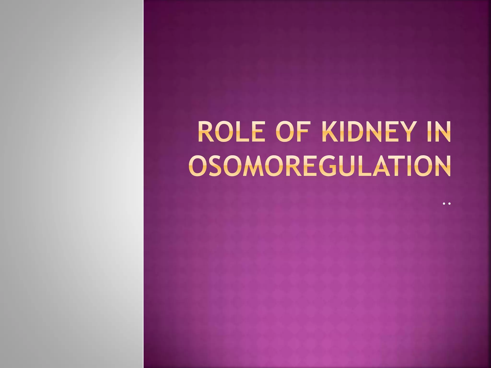 role of kidney in osmoregulation | PPTX