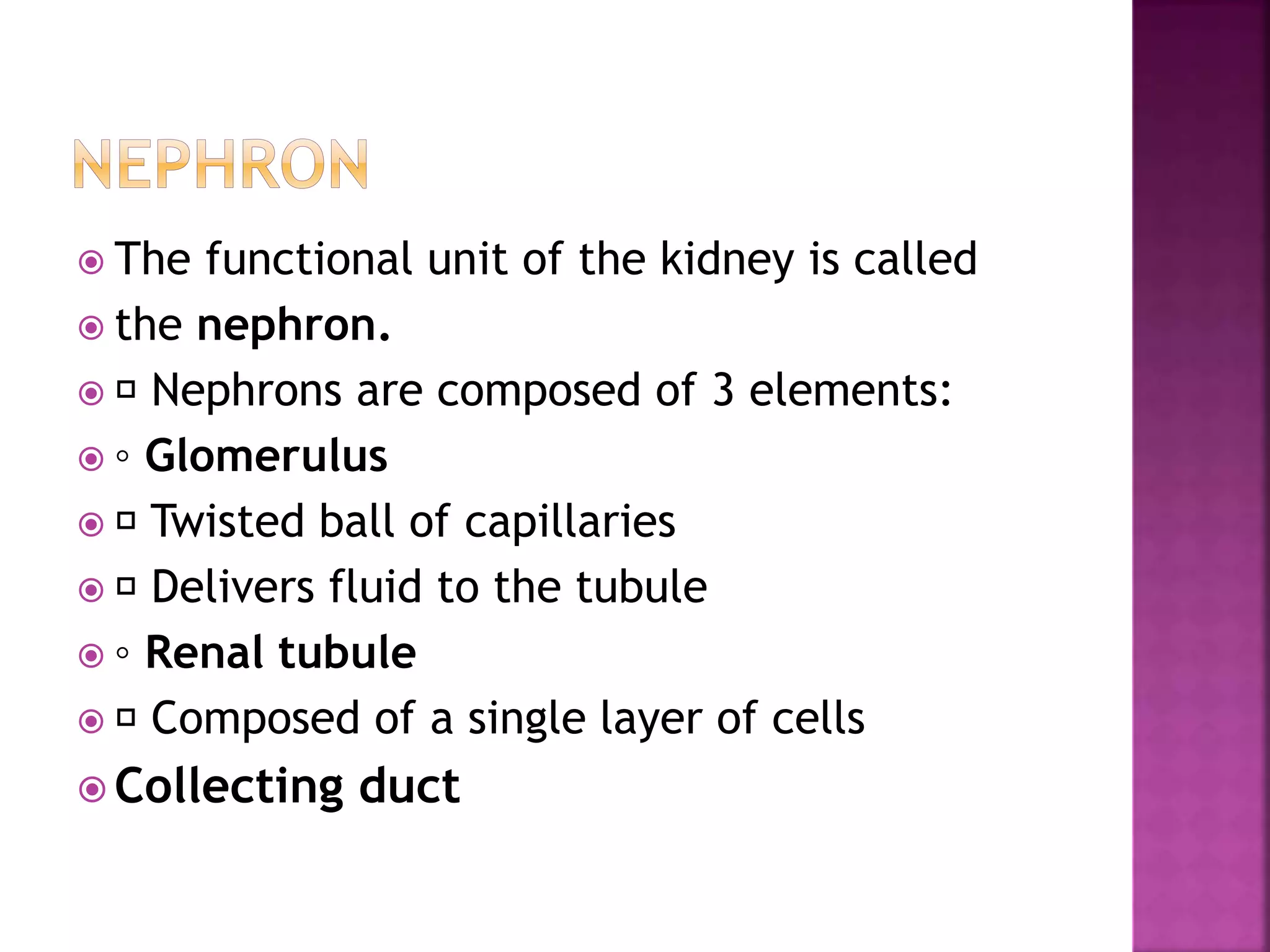 role of kidney in osmoregulation | PPTX