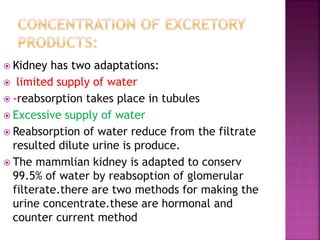 role of kidney in osmoregulation | PPTX