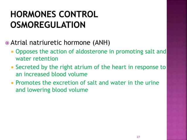 role of kidney in osmoregulation | PPTX