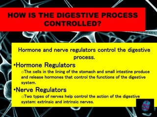 The Digestive System | PPTX