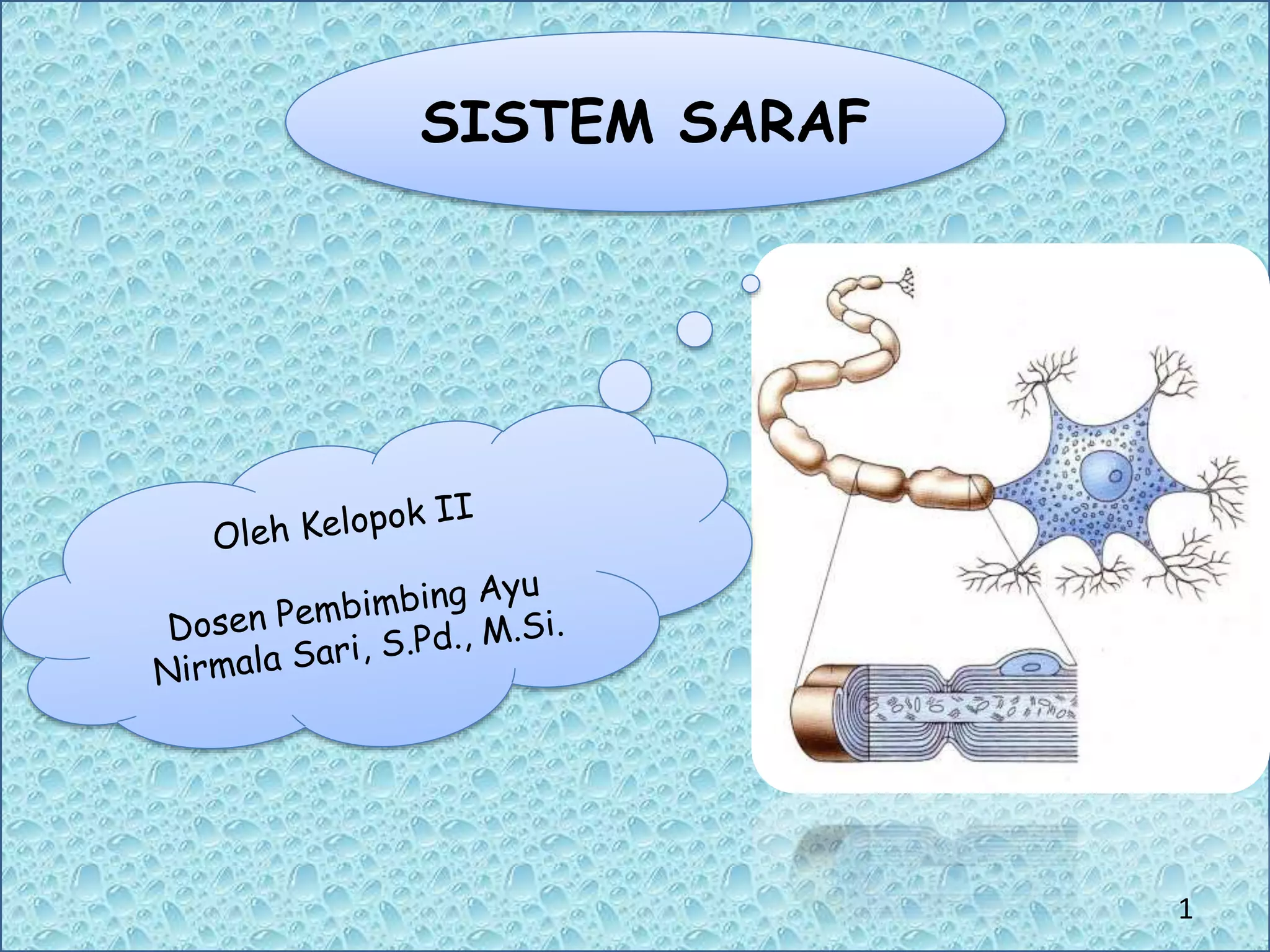 PPT SISTEM SARAF Presentation1 | PPTX