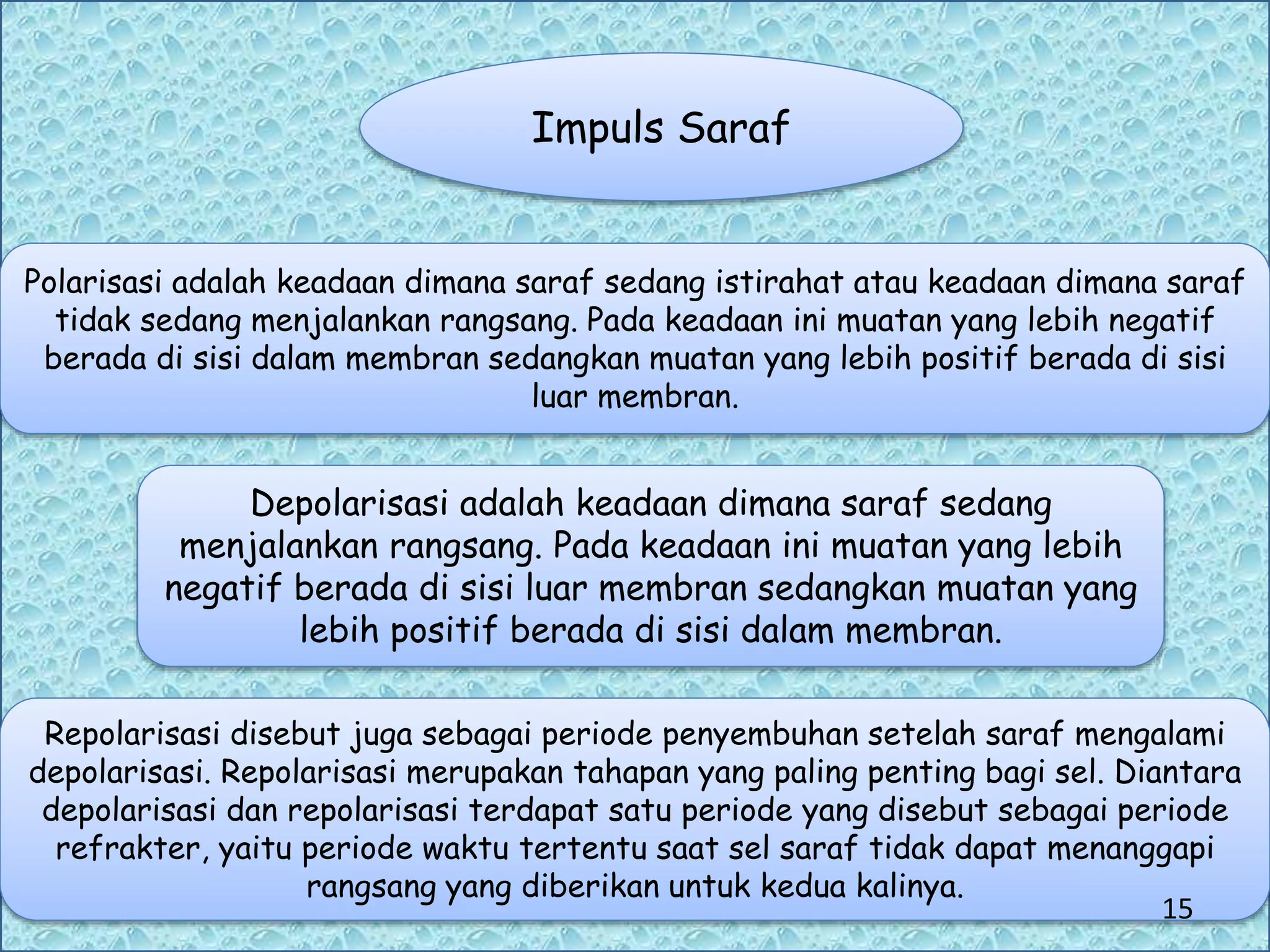 PPT SISTEM SARAF Presentation1 | PPTX
