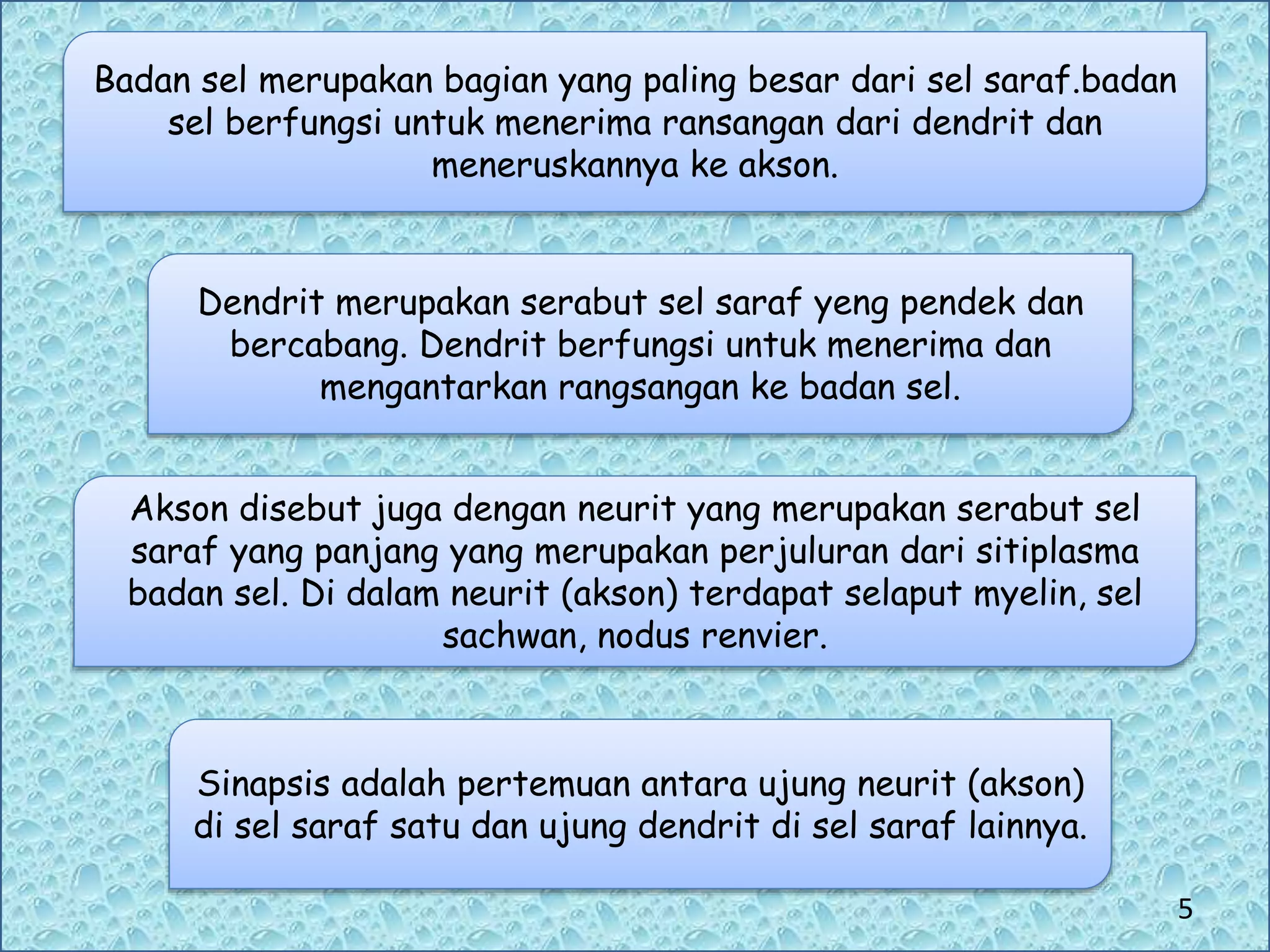 PPT SISTEM SARAF Presentation1 | PPTX