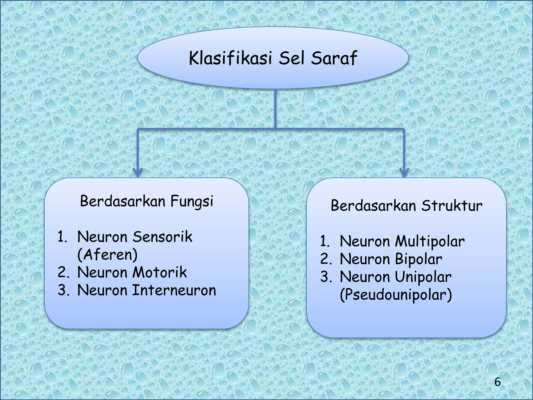 PPT SISTEM SARAF Presentation1 | PPTX
