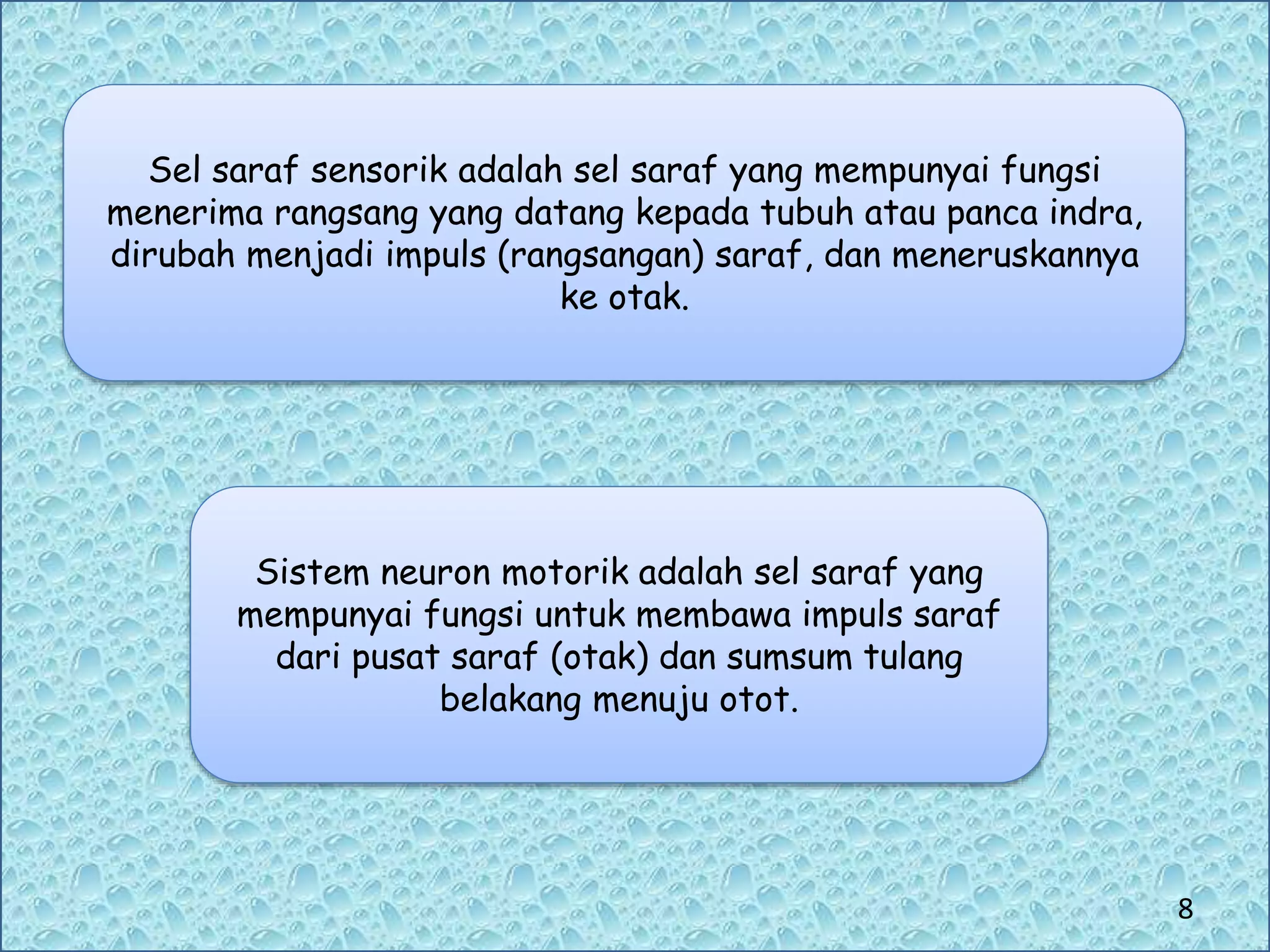 PPT SISTEM SARAF Presentation1 | PPTX