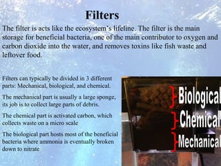 Aquariums: How they are their own ecosystems | PPT