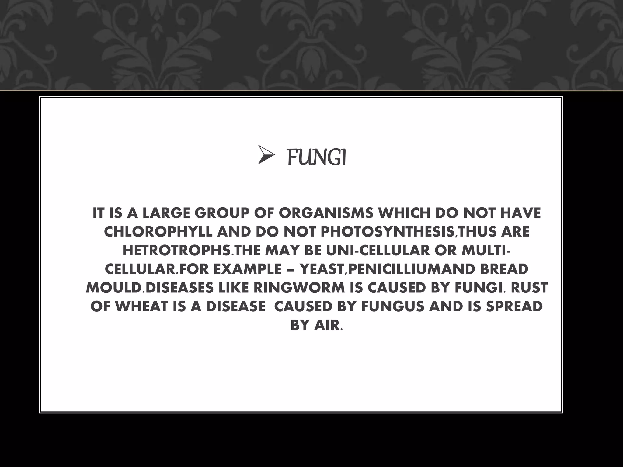 MICROORGANISMS | PPTX