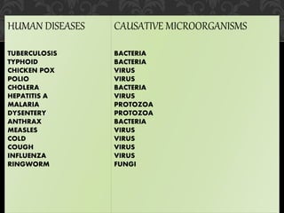 MICROORGANISMS | PPTX