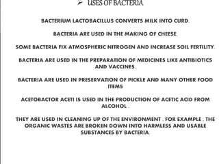 MICROORGANISMS | PPTX
