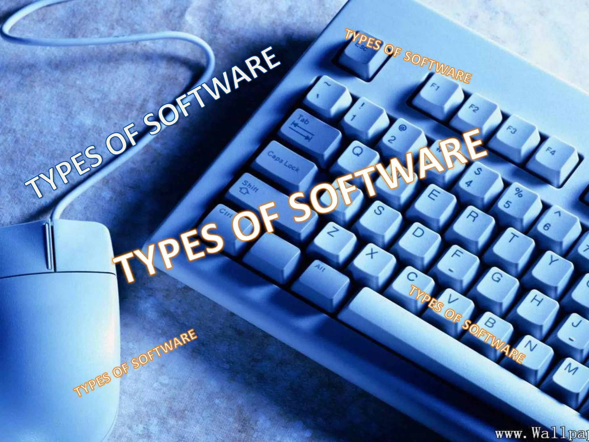 software and its type | PPTX