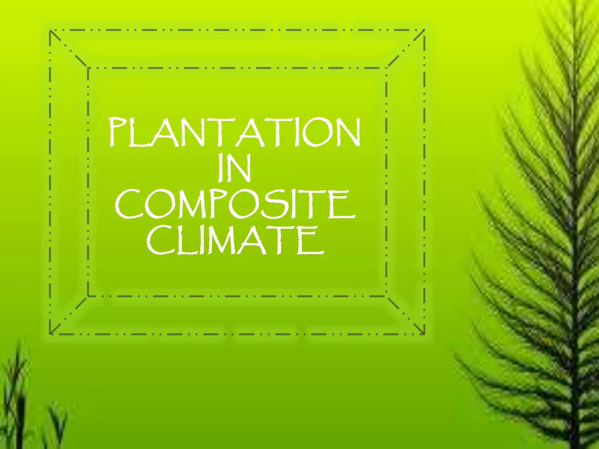 PLANTATION- Composite Climate | PPTX
