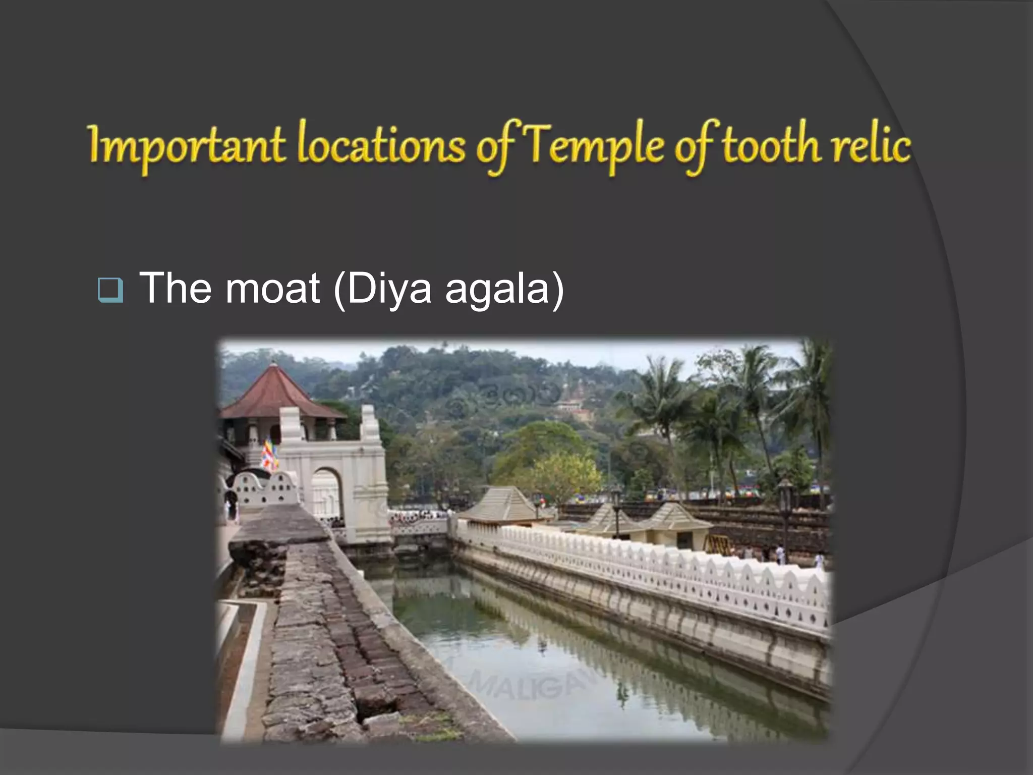 tooth of temple | PPT | Free Download