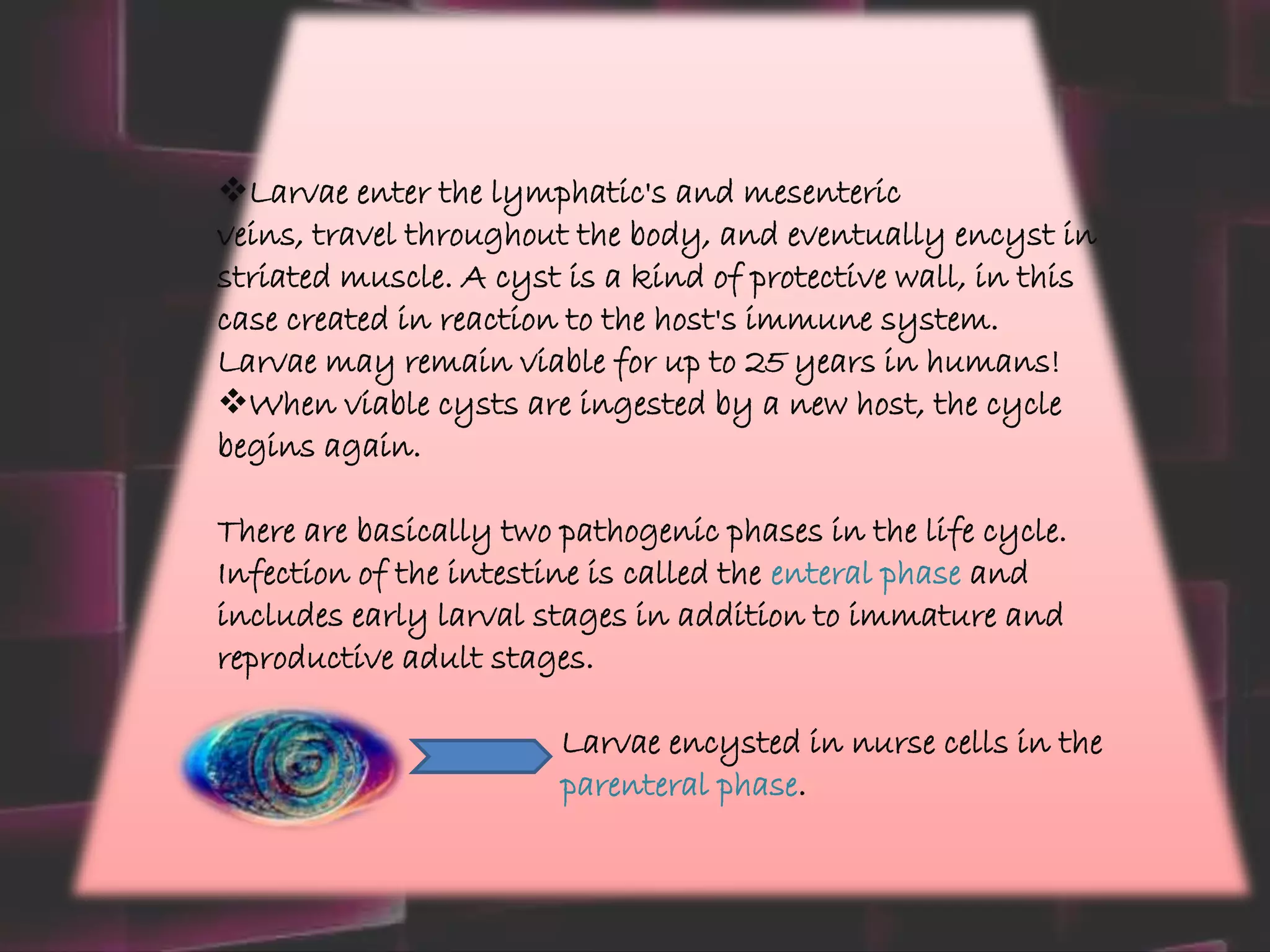 trichenella spiralis | PPTX