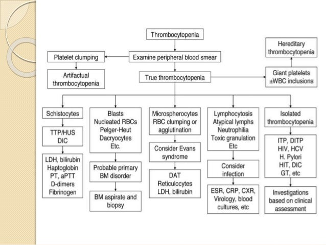 An approach to a patient with Thrombocytopenia