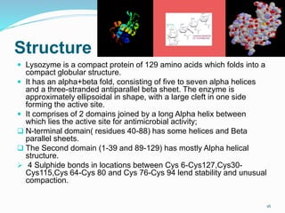 Lysozyme | PPTX