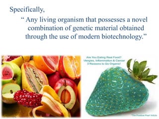 Examples Of Genetically Modified Organisms Food