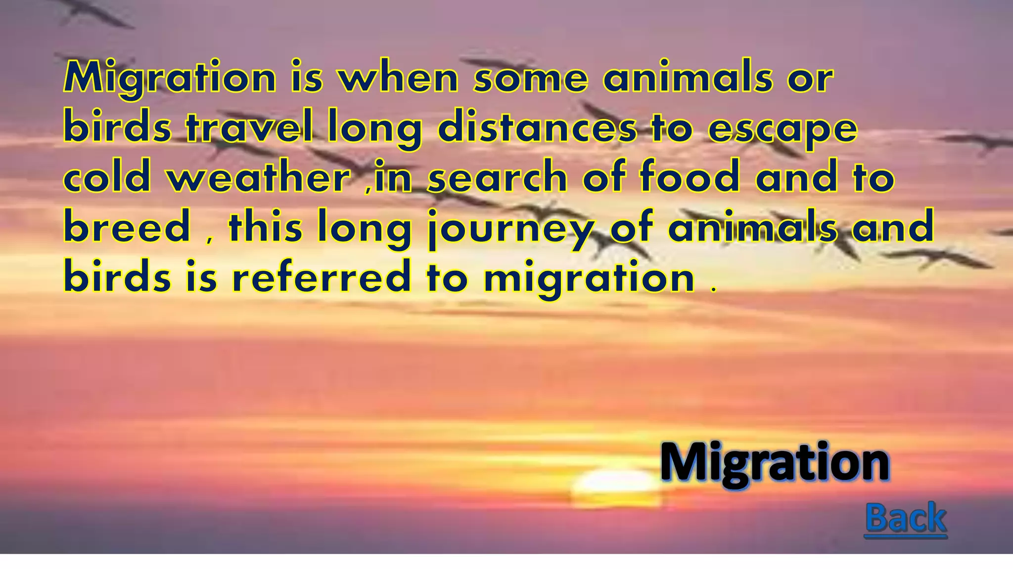 migrating animals | PPTX