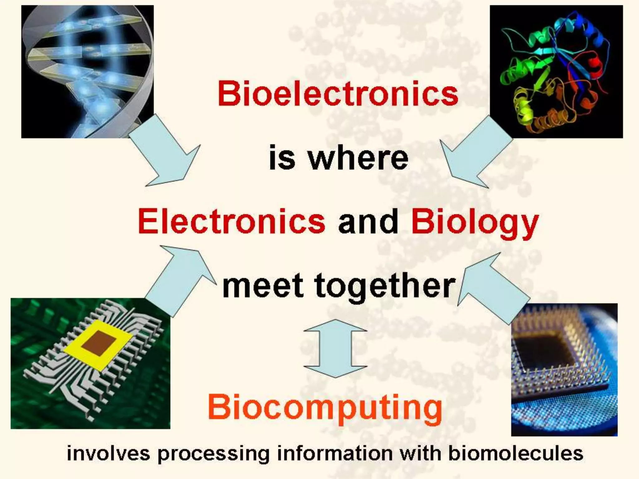 Presentation on Bio Computer | PPTX