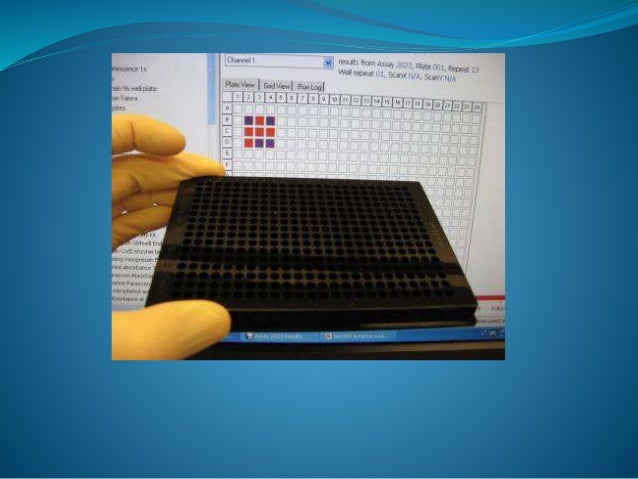 Presentation on Bio Computer