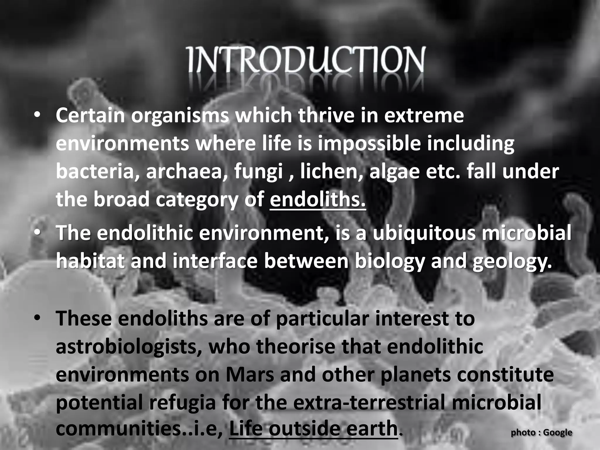 Endolithic Bacteria In Low Temperature Environment, A Case of Life on ...