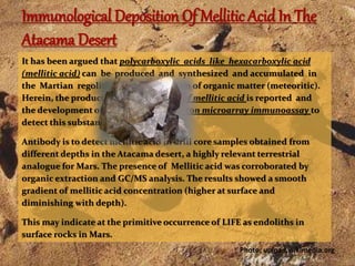Endolithic Bacteria In Low Temperature Environment, A Case of Life on ...