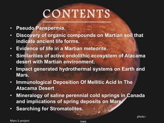 Endolithic Bacteria In Low Temperature Environment, A Case of Life on ...