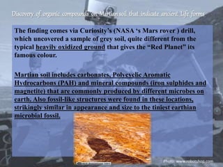 Endolithic Bacteria In Low Temperature Environment, A Case of Life on ...