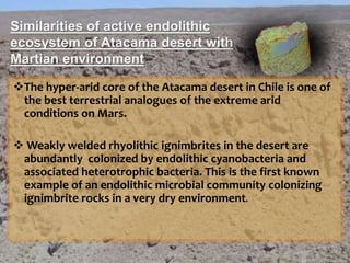 Endolithic Bacteria In Low Temperature Environment, A Case of Life on ...