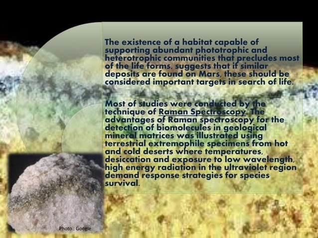 Endolithic Bacteria In Low Temperature Environment, A Case of Life on ...