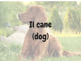 Italian Vocabulary Words: House Animals | PPT