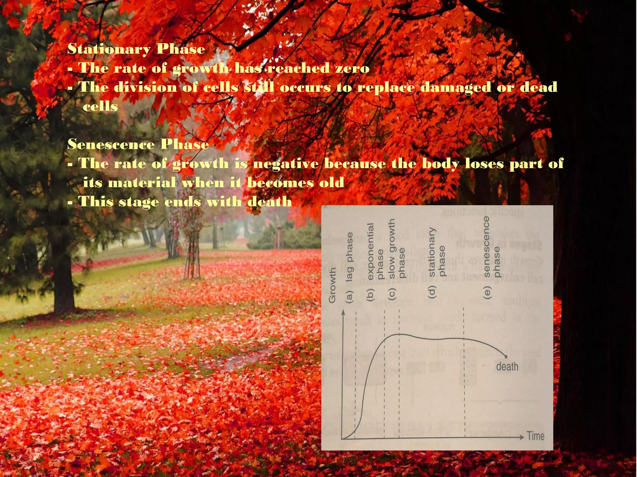 Biology Form 5, Chapter 4, 4.7 | PPT