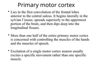 neurophysiology II. a concise review of brain and spinal cord | PPTX