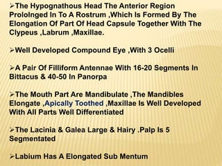 BIOLOGY ,HABITAT AND IMPORTANT DIAGONOSTIC FEATURES OF THE INSECT ORDER ...